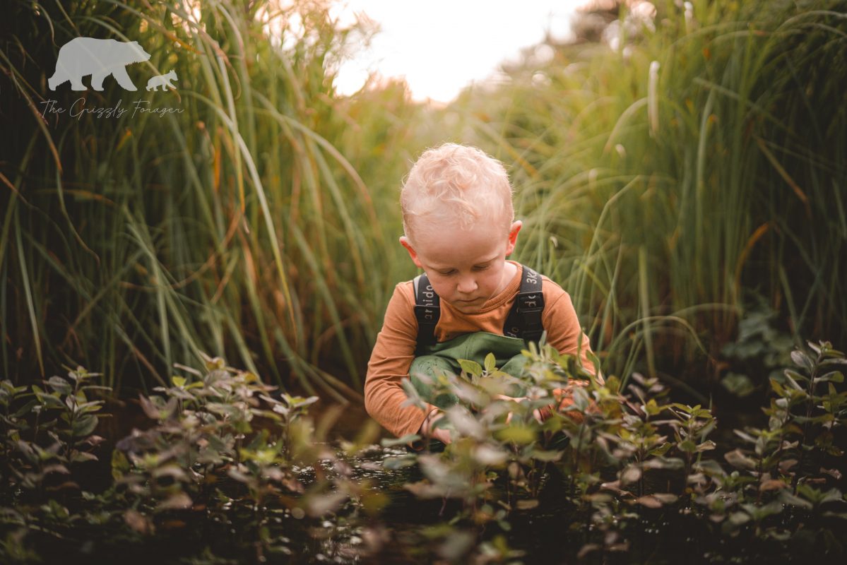 Foraging For Food- A Great Outdoor Activity // Saronti